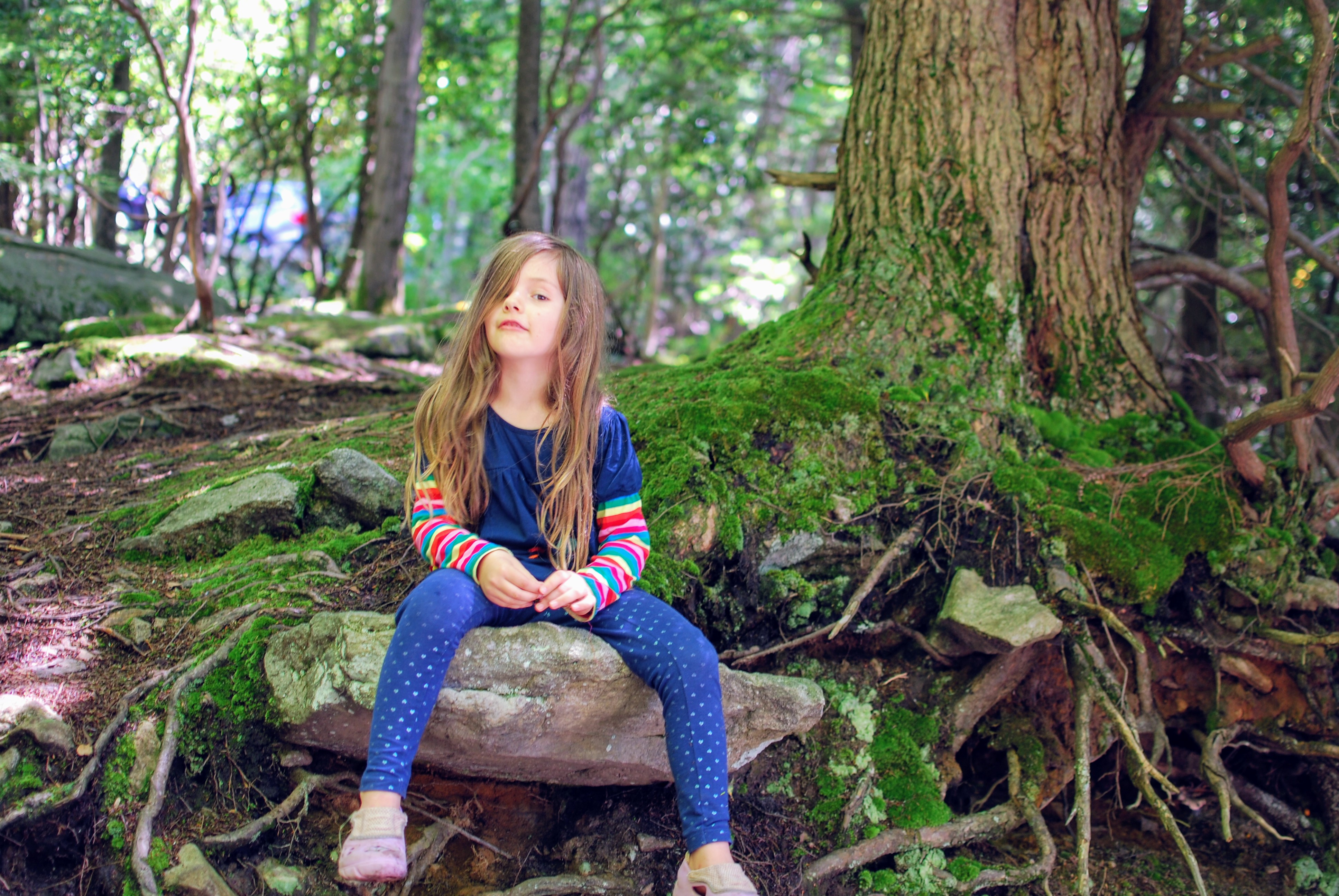 Meme Lord in the Mountains – Cinnamon and Sassafras