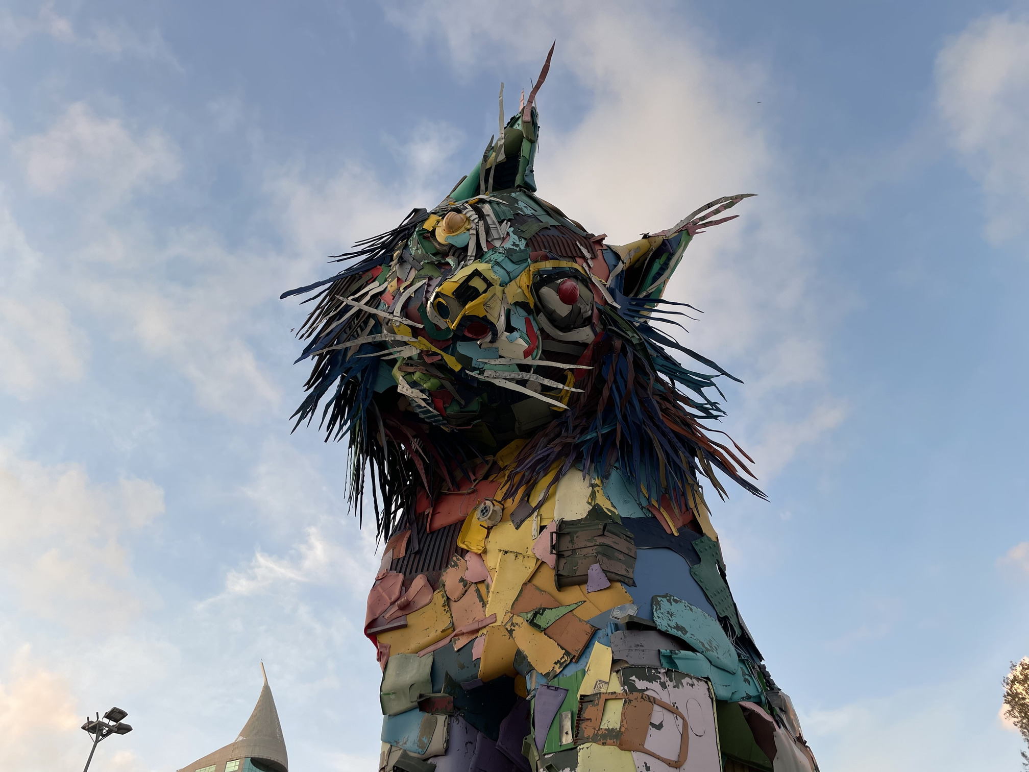 Lisbon – Iberian Lynx Cat – Cinnamon and Sassafras